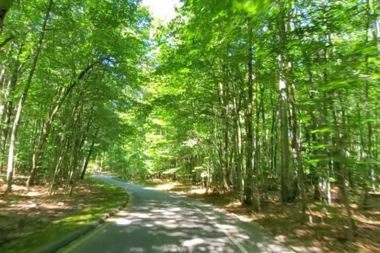 7 must-see things in Sleeping Bear Dunes Michigan on Pierce Stocking ...