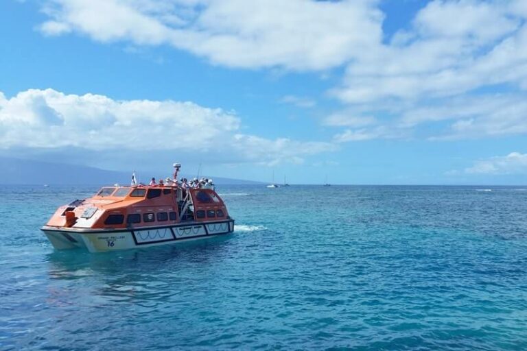 Things to do in Lahaina without a car 🌴 LAHAINA BUS 🌴 Things to do on ...