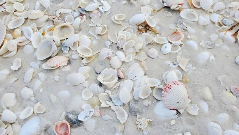 How to get to Tigertail Beach shelling without lagoon crossing ...