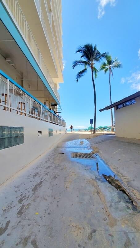 Banan for banana ice cream in a pineapple with VIEWS in Waikiki near ...
